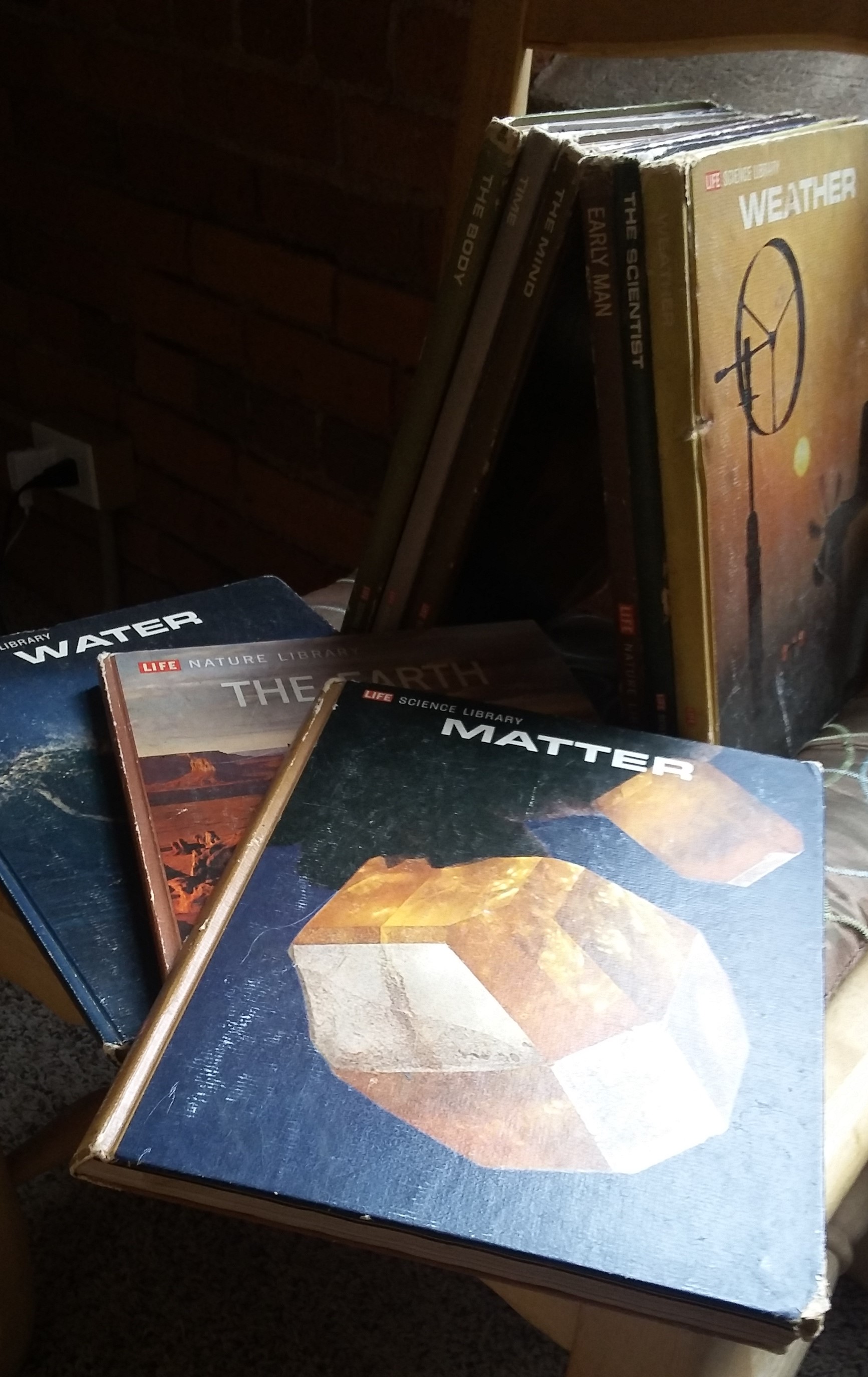 Books That Influenced My Young Imagination… – Dana Rondel