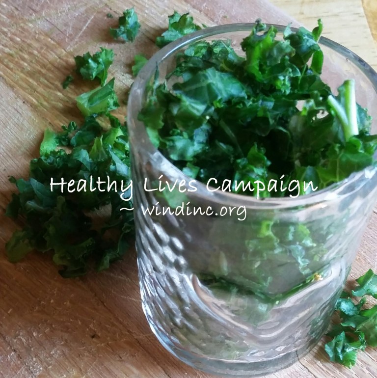 Healthy Lives Campaign – Dana Rondel