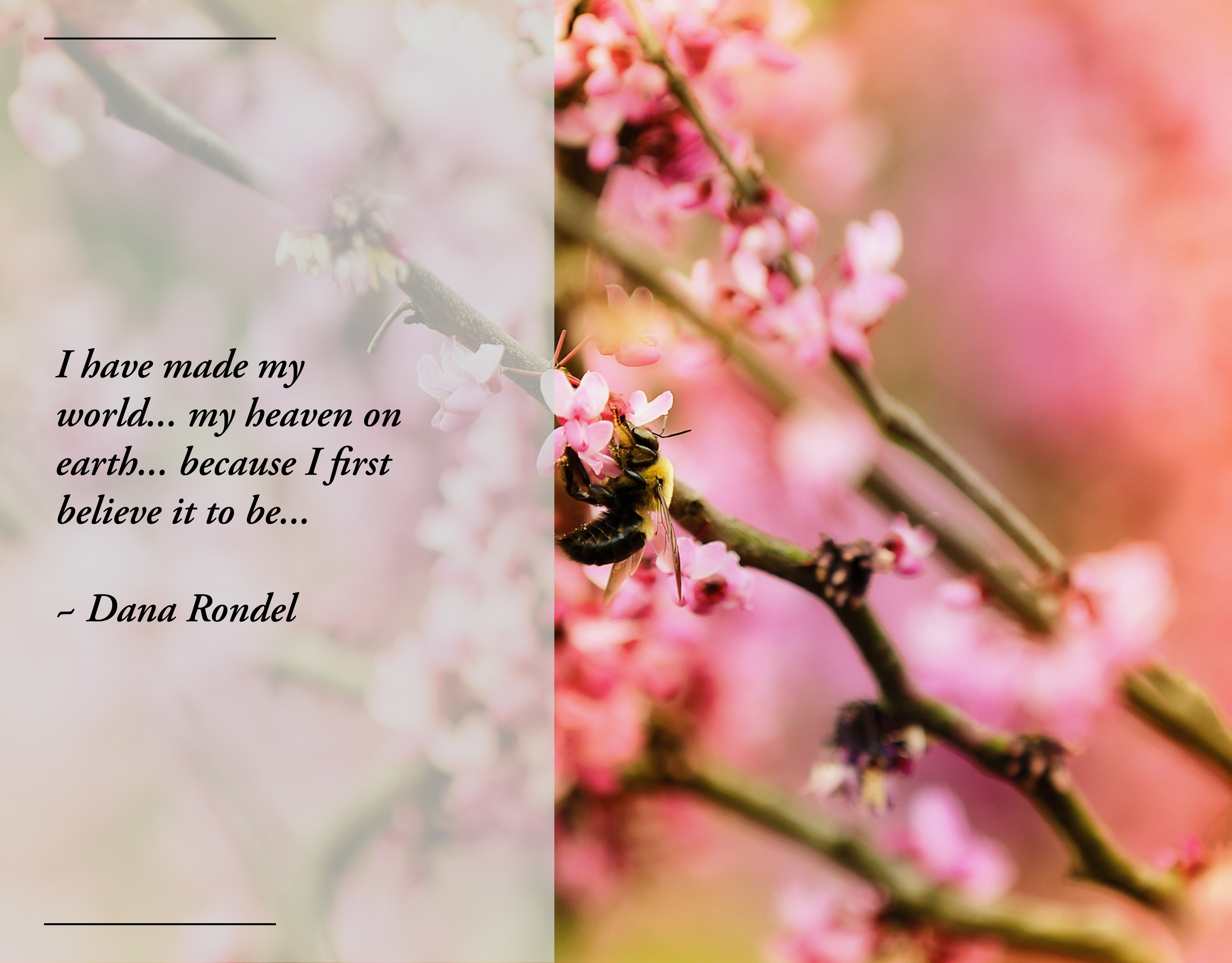 Wisdom In New Dimensions – Dana Rondel