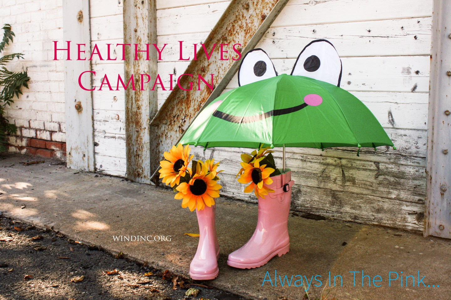 Healthy Lives Campaign – Dana Rondel